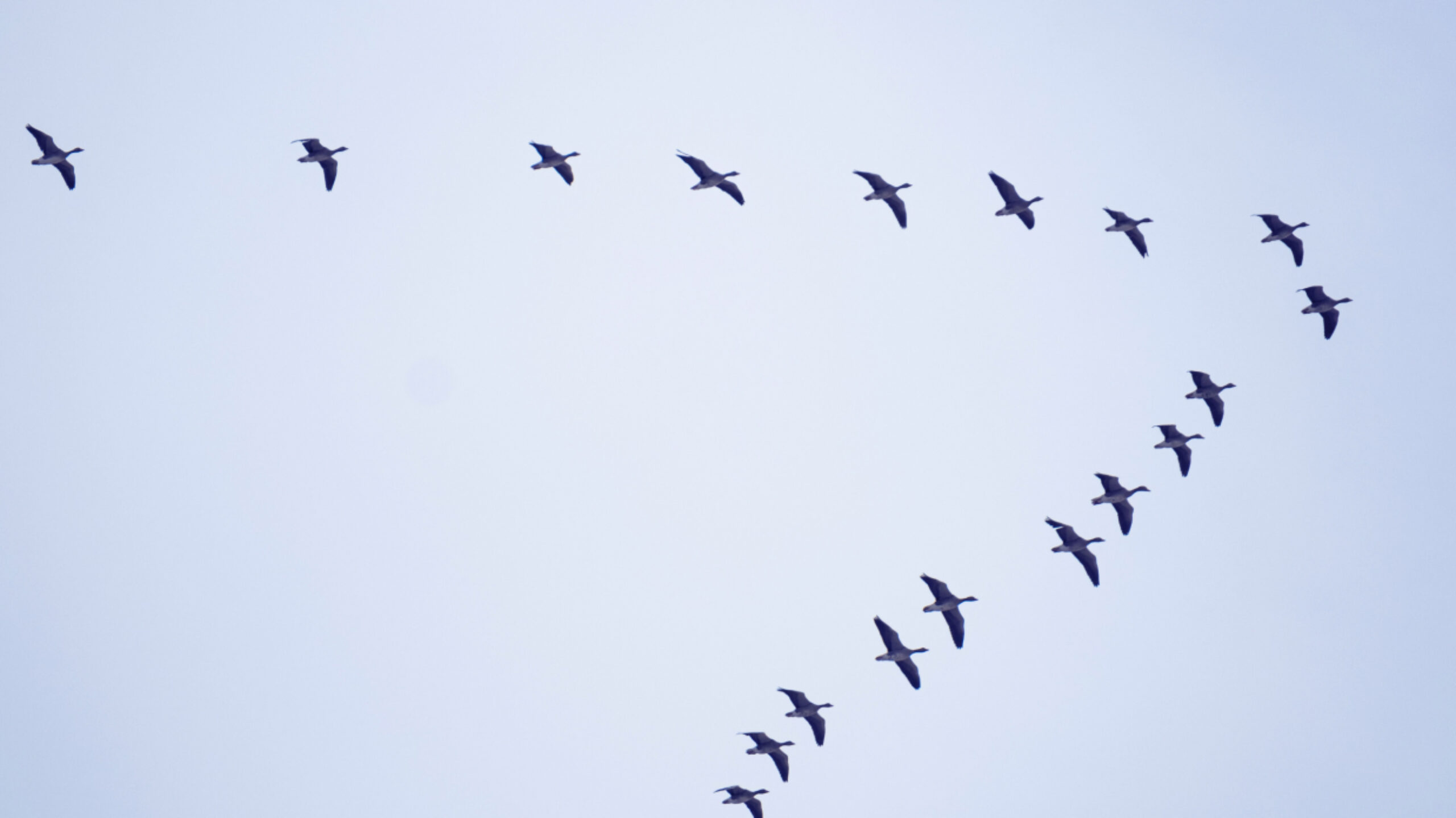 SailPoint IdentityIQ to Identity Security Cloud Migration: Best ...